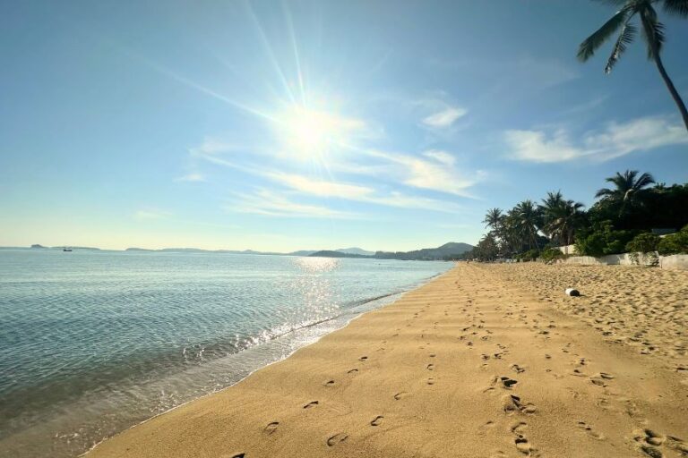 Peace Resort Review 2026 - Is It The Best Koh Samui Resort?