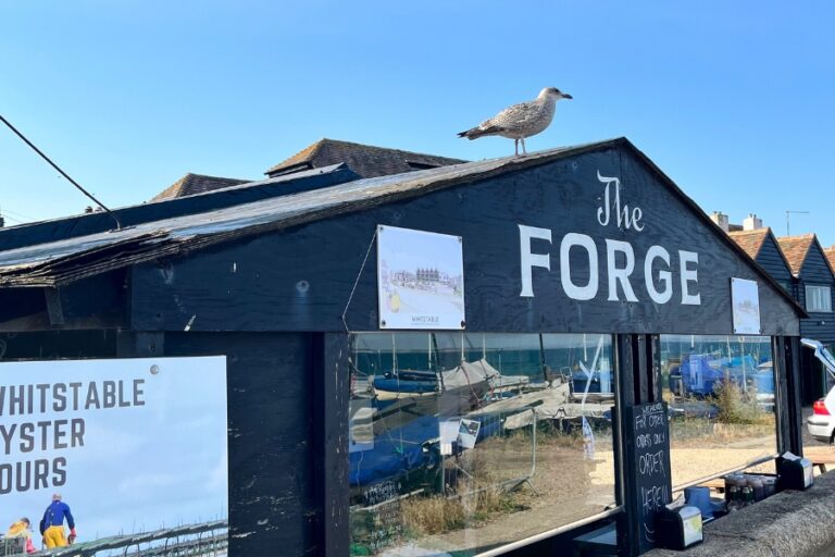 Best Restaurants In Whitstable, Kent | Foodie Seaside Destination