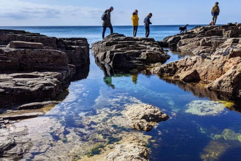 Family Friendly Activities In Cornwall - Keep Everyone Entertained